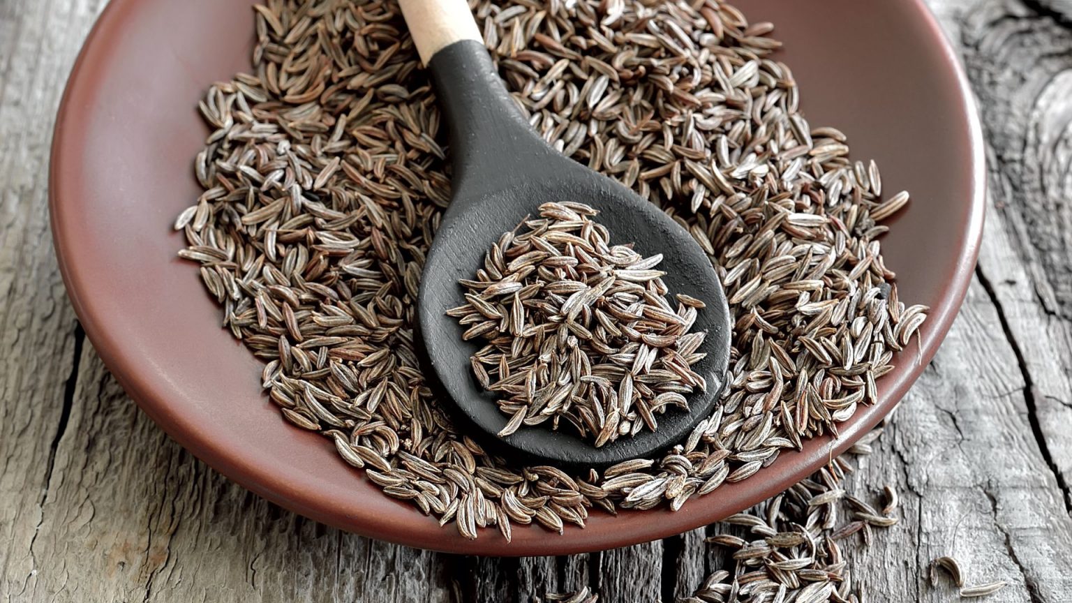 Kümmel muss man mögen - Bauernladen