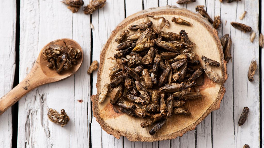 Wollen wir die essen? - Bauernladen