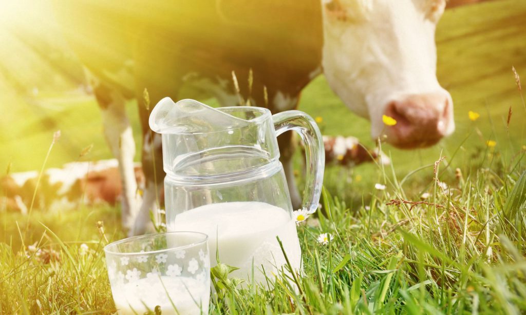 Weltmilchtag mit Sinn - Bauernladen